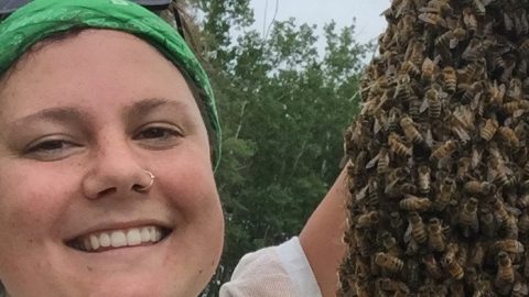 Beginner Beekeeping Program