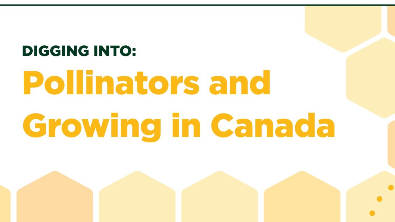 Introducing the NOD Speaker Series - NOD Apiary Products Ltd.